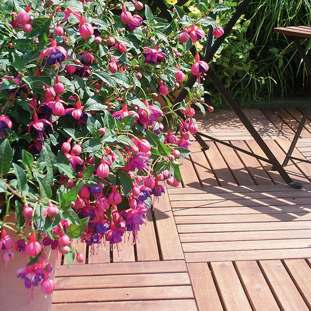 Product view - Elsner PAC - englisch